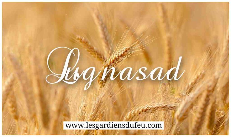 Druidisme : la cérémonie de Lugnasad